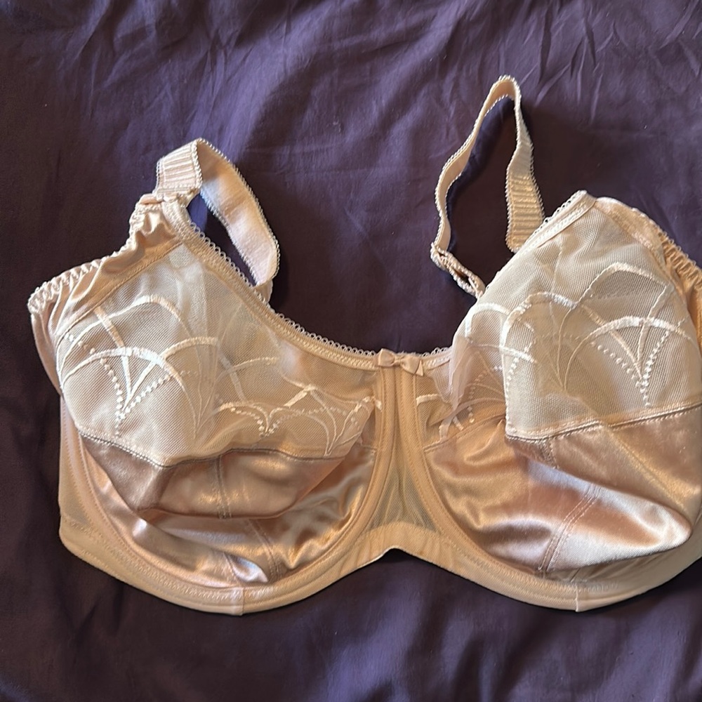 Elomi Bra (Converted To Nursing Bra By Nordstrom Alte… - Gem